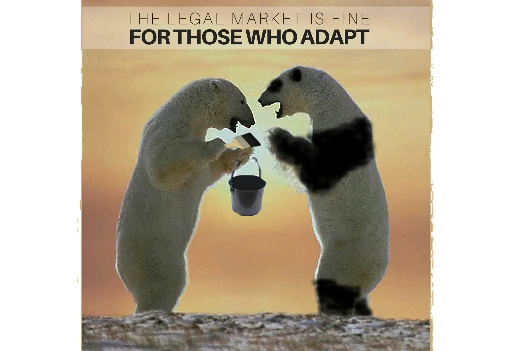 Adaptive Law Firms Are the Most Sustainable